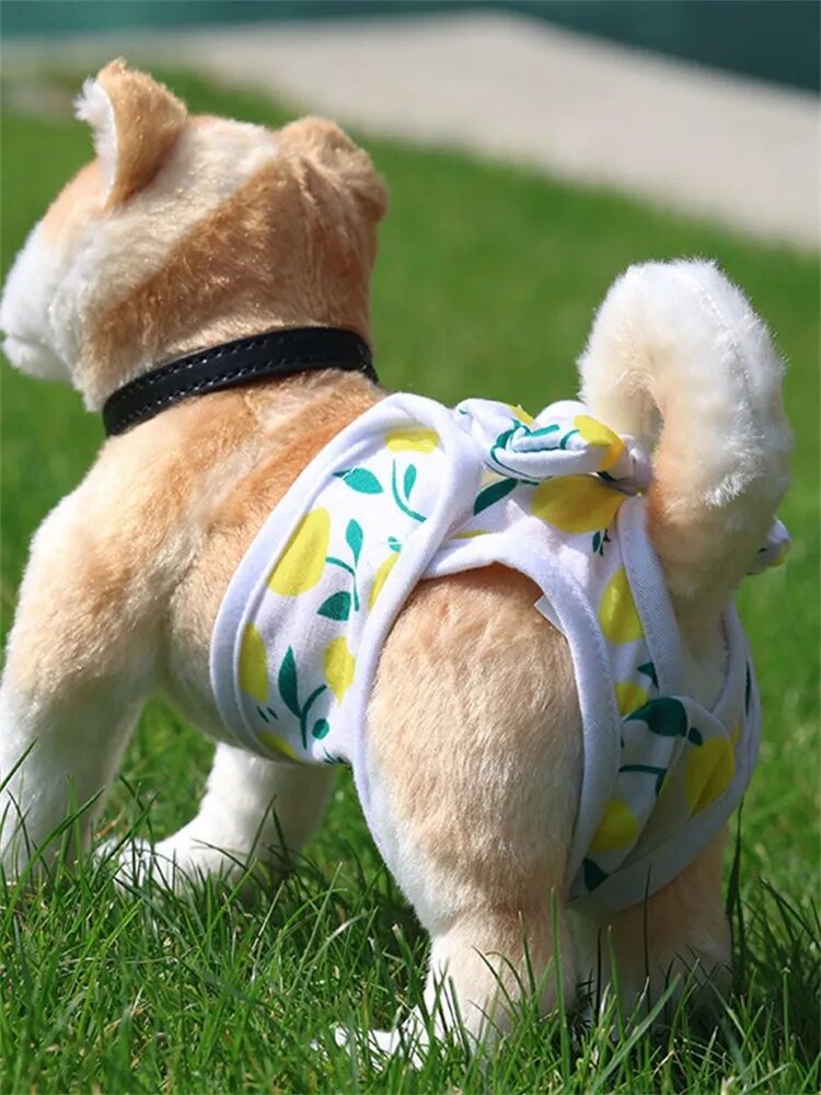 Многоразовый подгузник для собак во время течки. Трусы для собак многоразовые