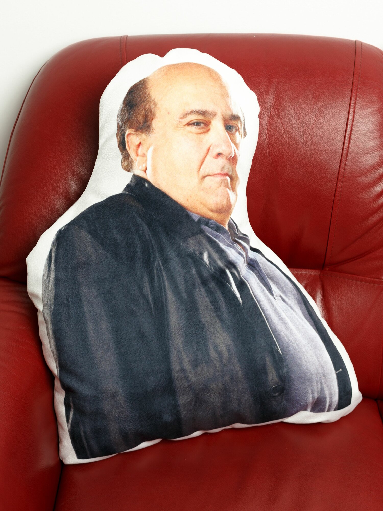 Подушка Danny Devito Дэнни Де Вито — фото 1