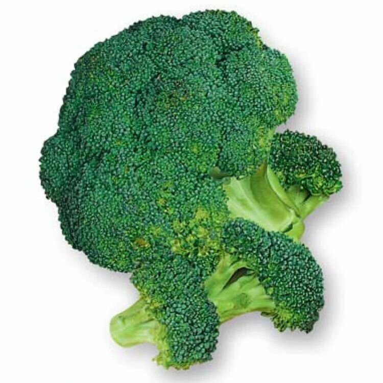 Коллекционные семена капусты Брокколи Парасоль F1