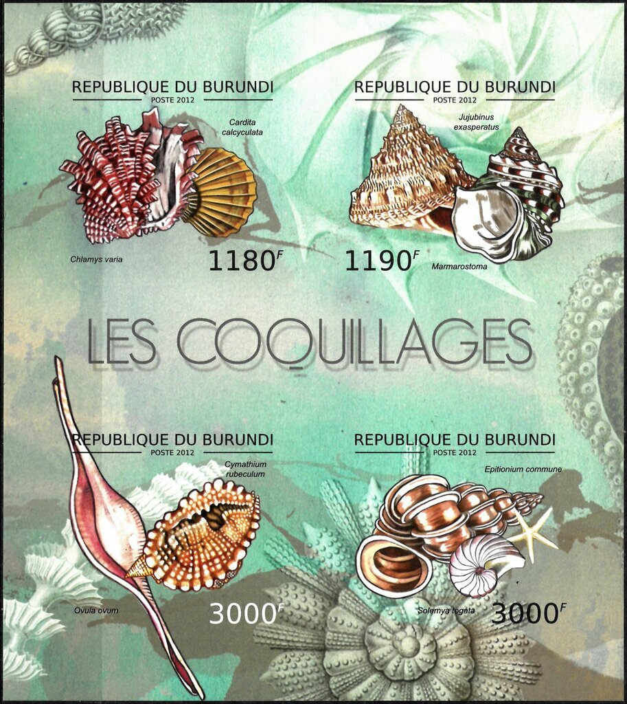Почтовые марки Бурунди 2012г. "Ракушки" Ракушки, Моллюски MNH