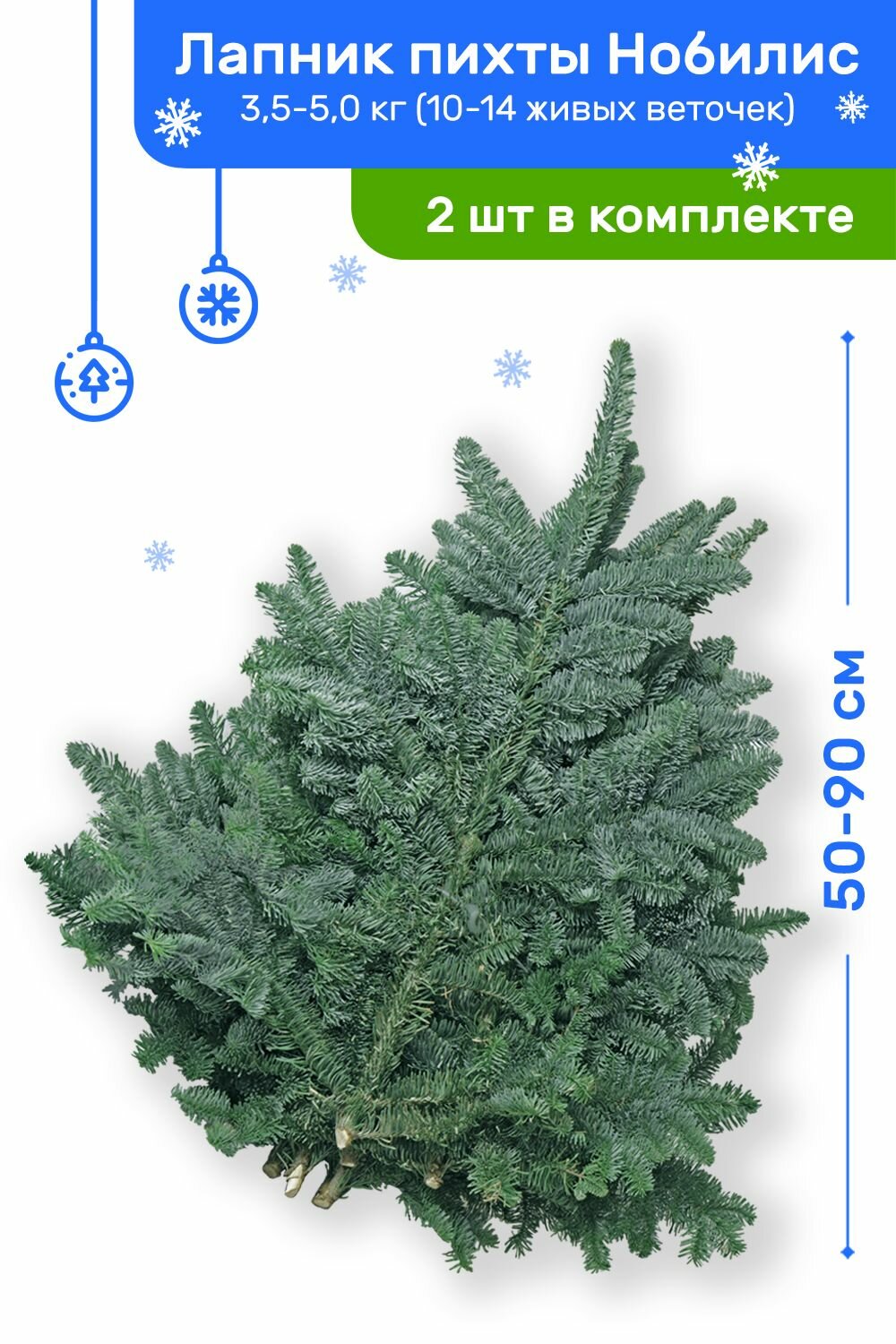 Лапник пихты Нобилис банч 3,5-5,0 кг (10-14 живых веточек), комплект из 2 шт