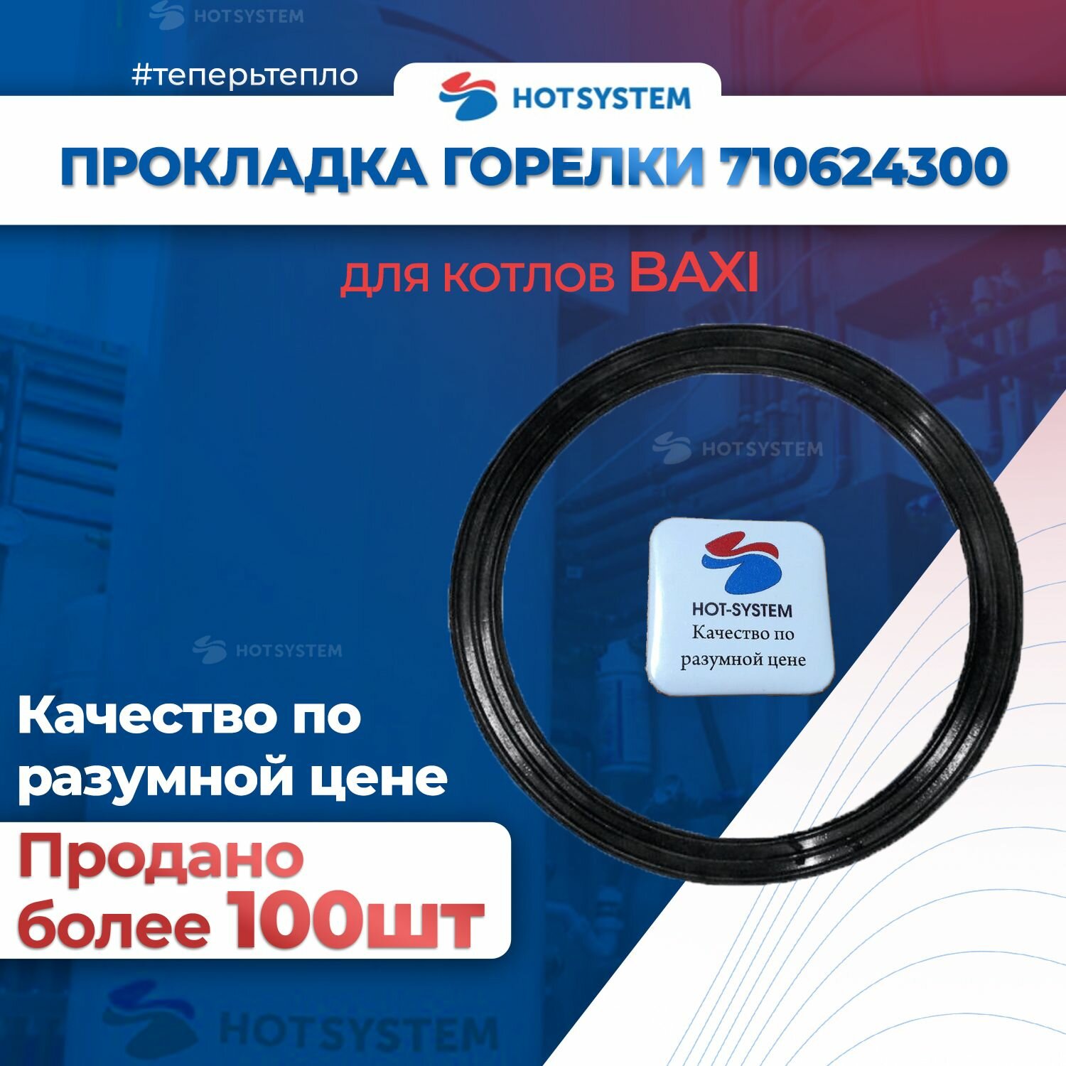 710624300 Уплотнение ( прокладка ) камеры сгорания