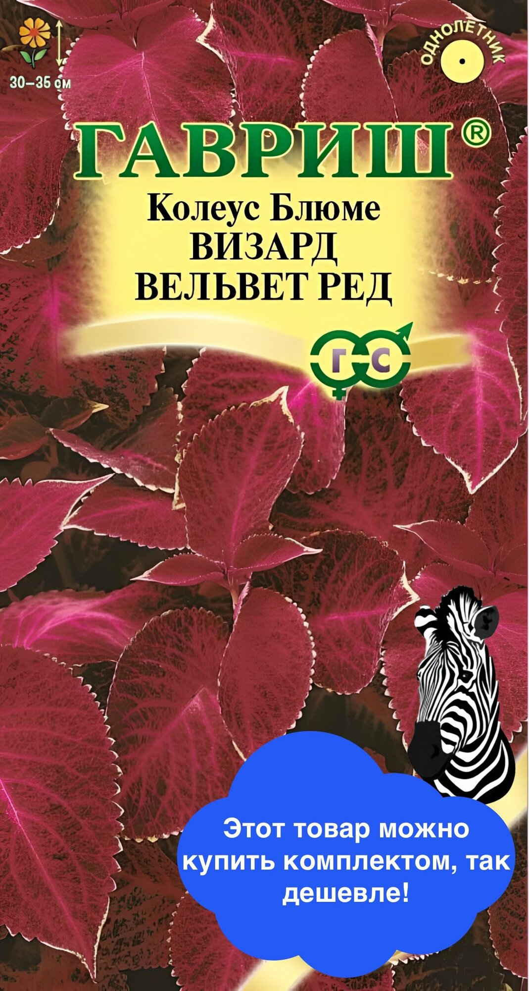 Цветы Колеус Визард Вельвет ред 4шт семян Гавриш