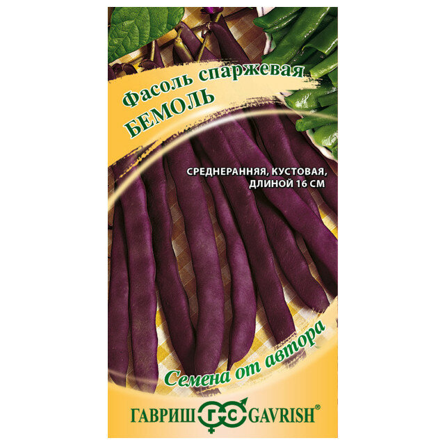 Семена Фасоль спаржевая Бемоль, кустовая фиолетовая, гавриш, Семена от автора 5 г