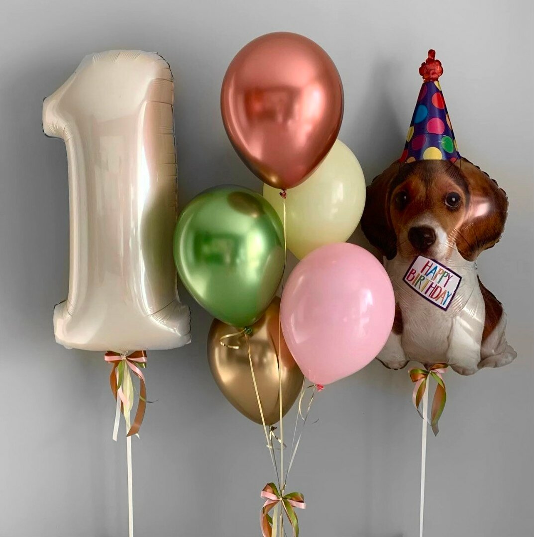 Композиция из шаров на 1 годик "Щенок в колпаке"