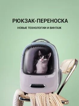 Переноска