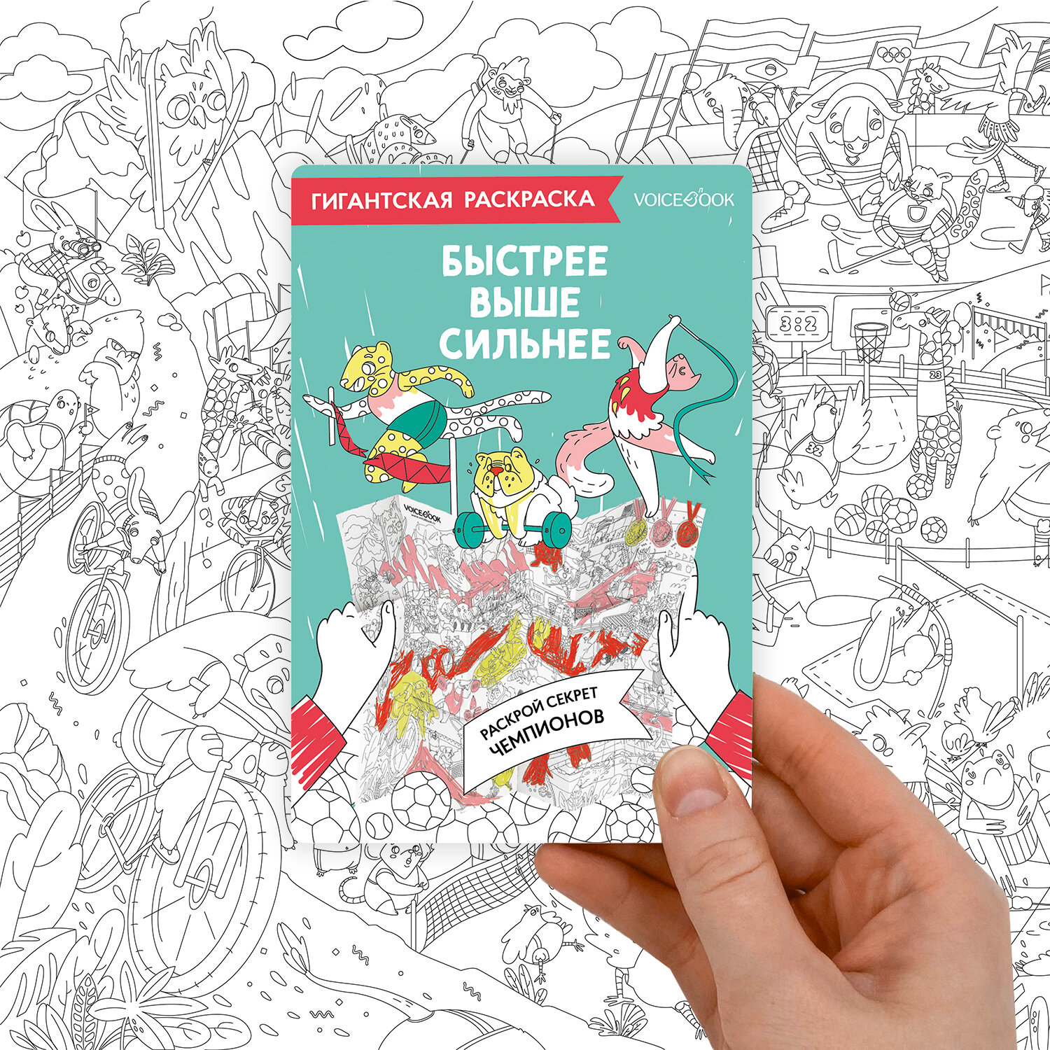 Карта-раскраска Спорт