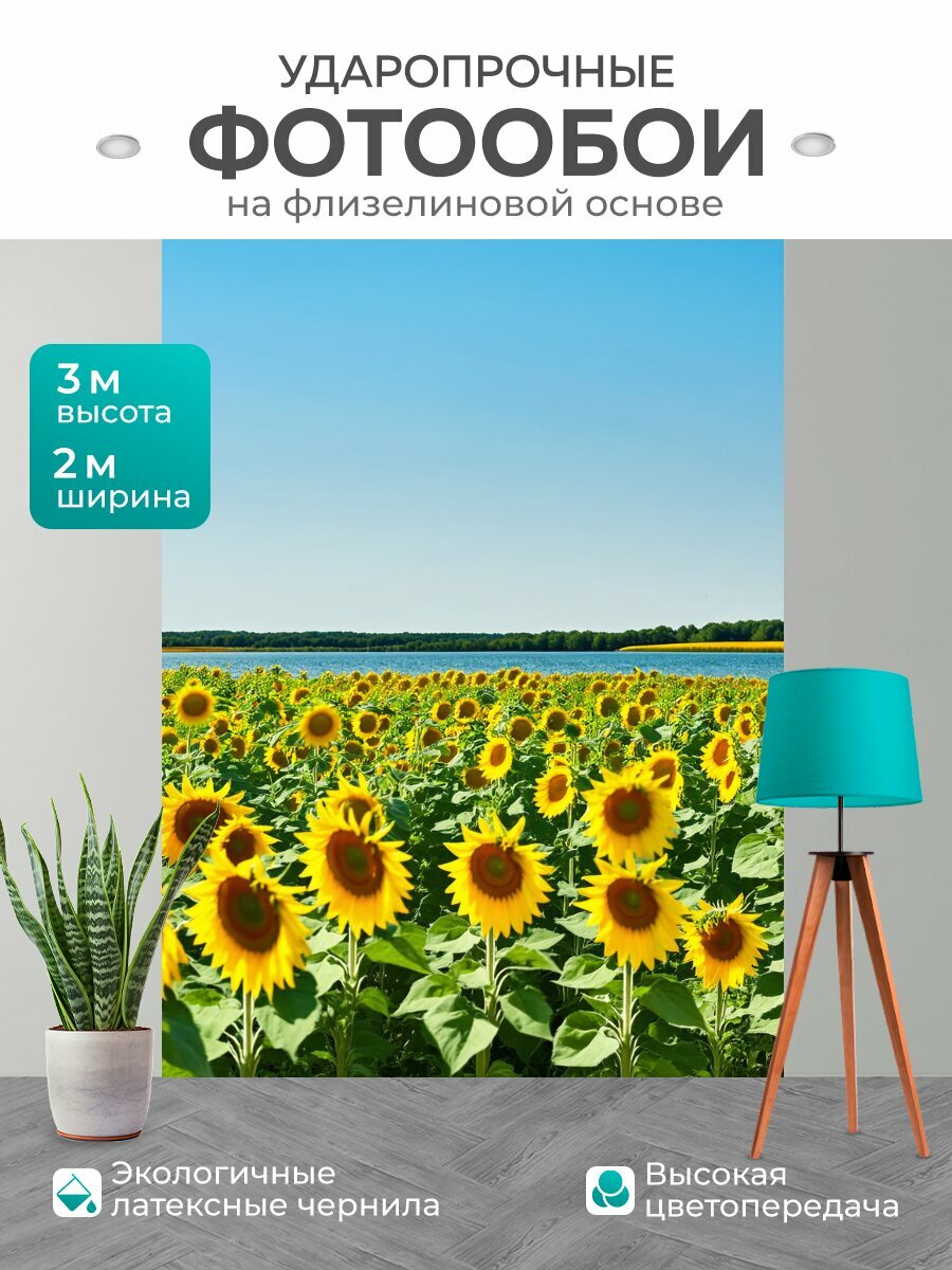 Фотообои моющиеся ударопрочные "Озеро, окруженное цветущими полями с подсолнухами" 200x300 см. флизелиновые на стену