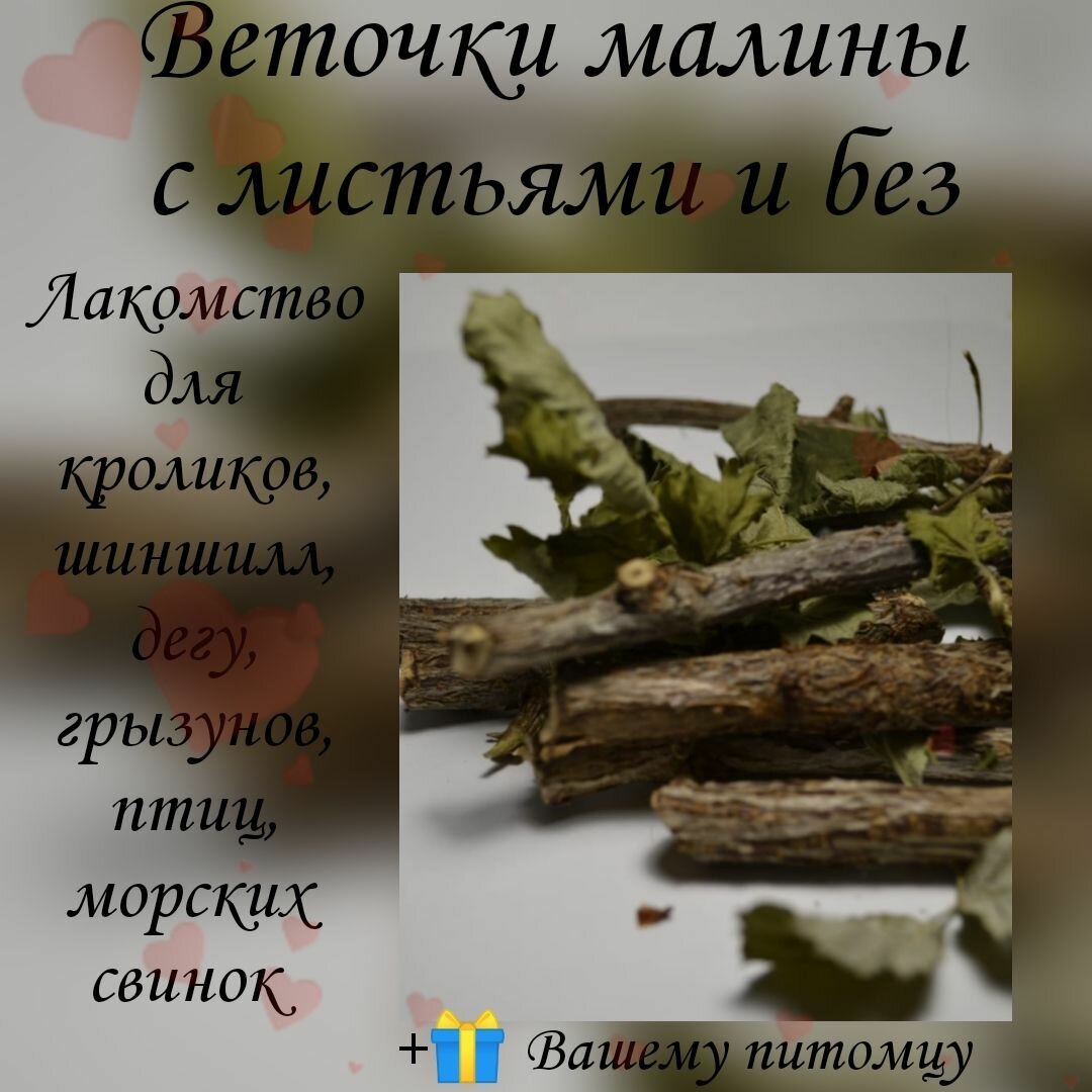 Лакомство для грызунов, шиншилл, кроликов, морских свинок, птиц - Веточки малины