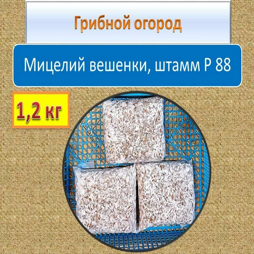 Мицелий вешенки для производства грибных блоков, грибница. Штамм "Р 88", вес 1,2 кг