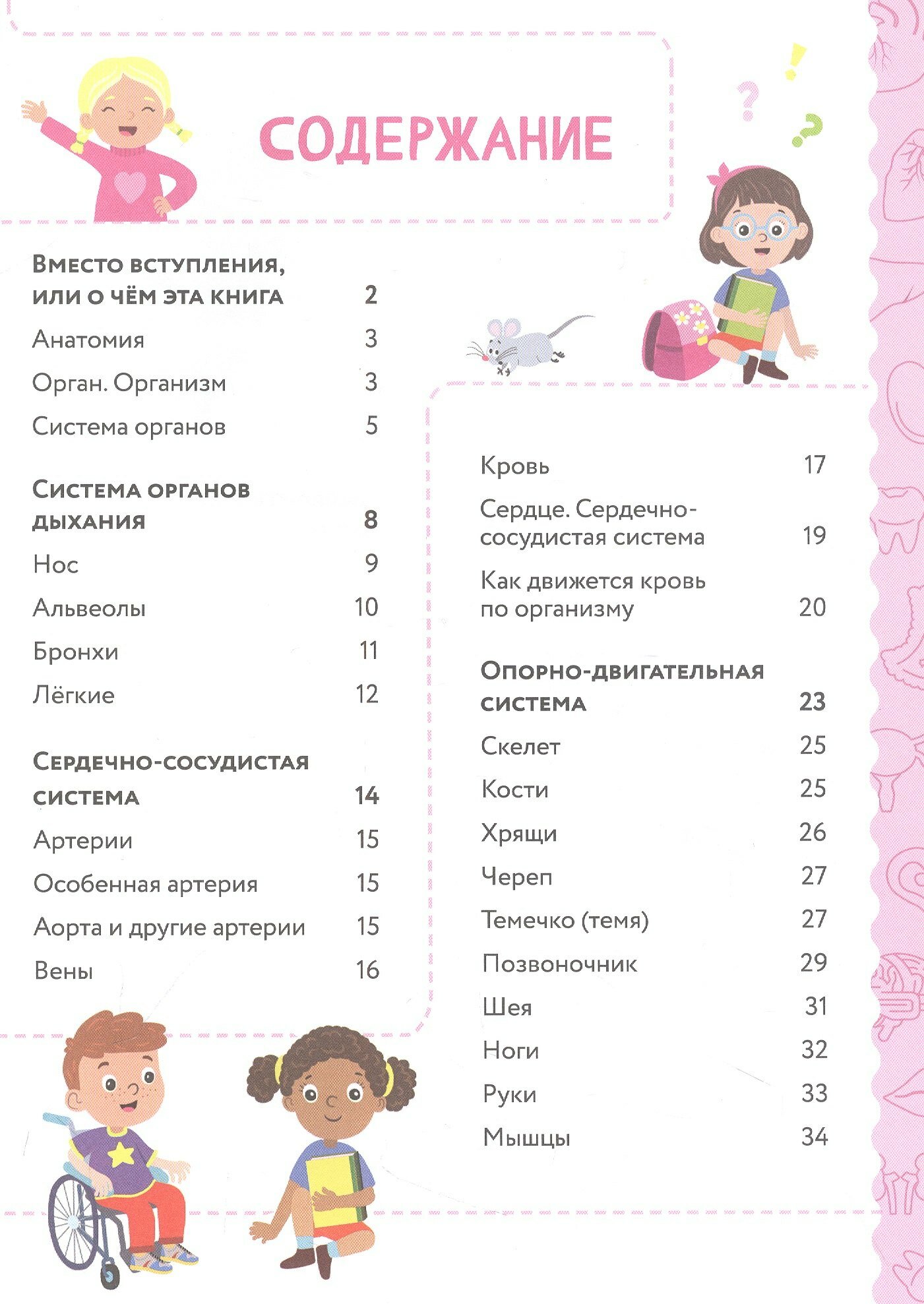 Анатомия для детей — фото 1