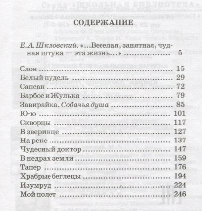 Белый пудель — фото 1