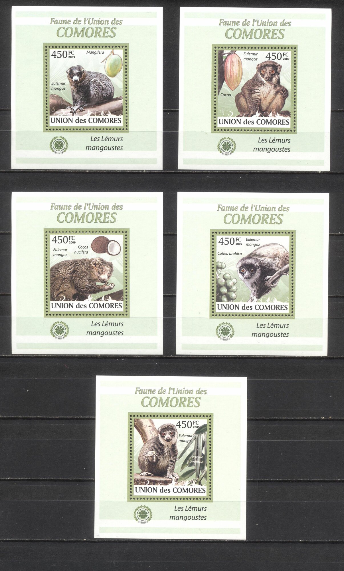 10 чистых блоков. 2009 год. Коморские острова. "Фауна островов. Млекопитающие"