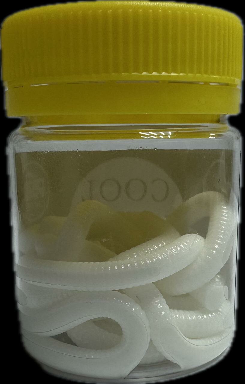 Приманка Cool Place Доширак Floating stretch 10см, цвет белый