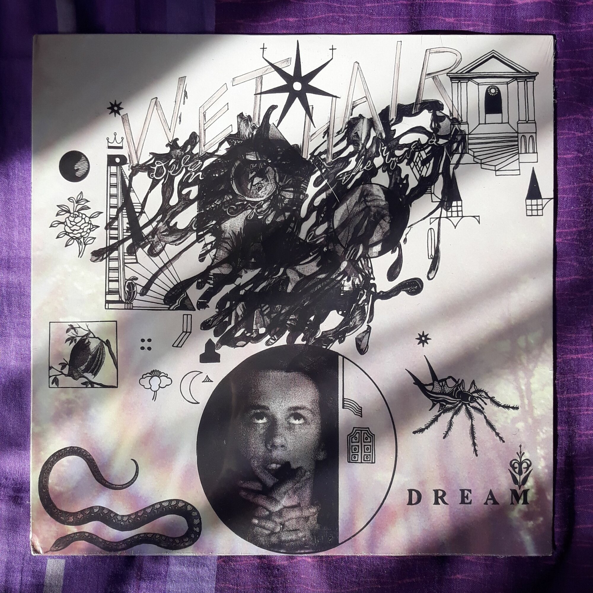 Виниловая пластинка Wet Hair - Dream LP