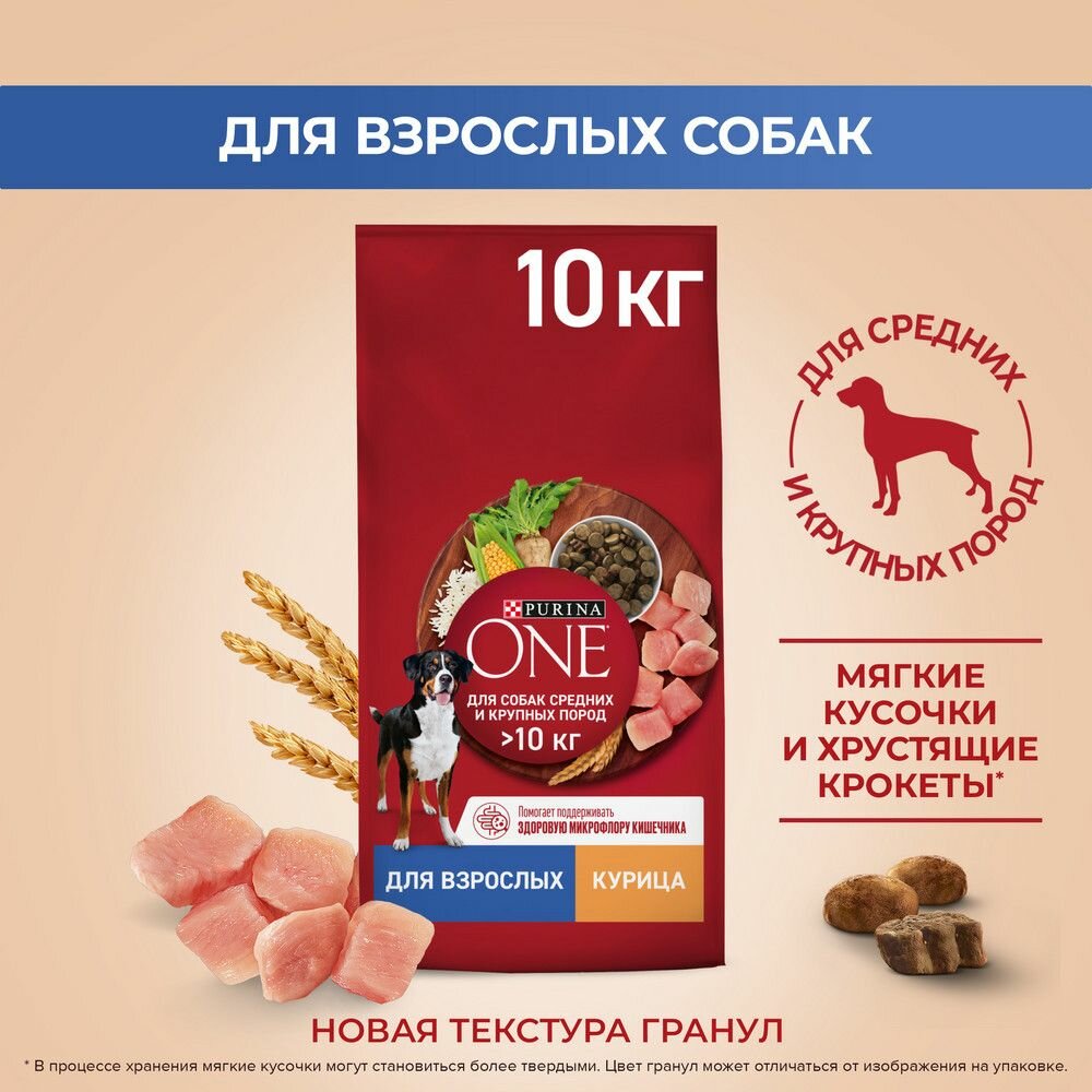Сухой корм Purina ONE для взрослых собак средних и крупных пород, с высоким содержанием курицы и рисом, пакет, 10 кг