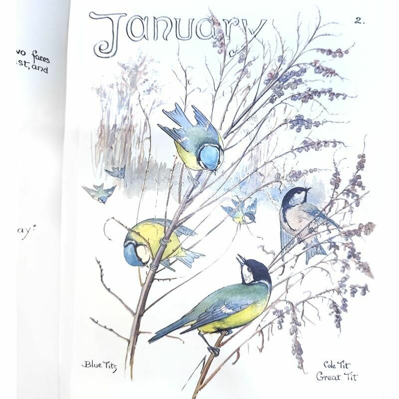 Печатная книга — фото 1