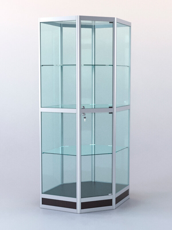 Витрина "угловая" №8 (закрытая, задняя стенка - стекло) метровая, Дуб Венге