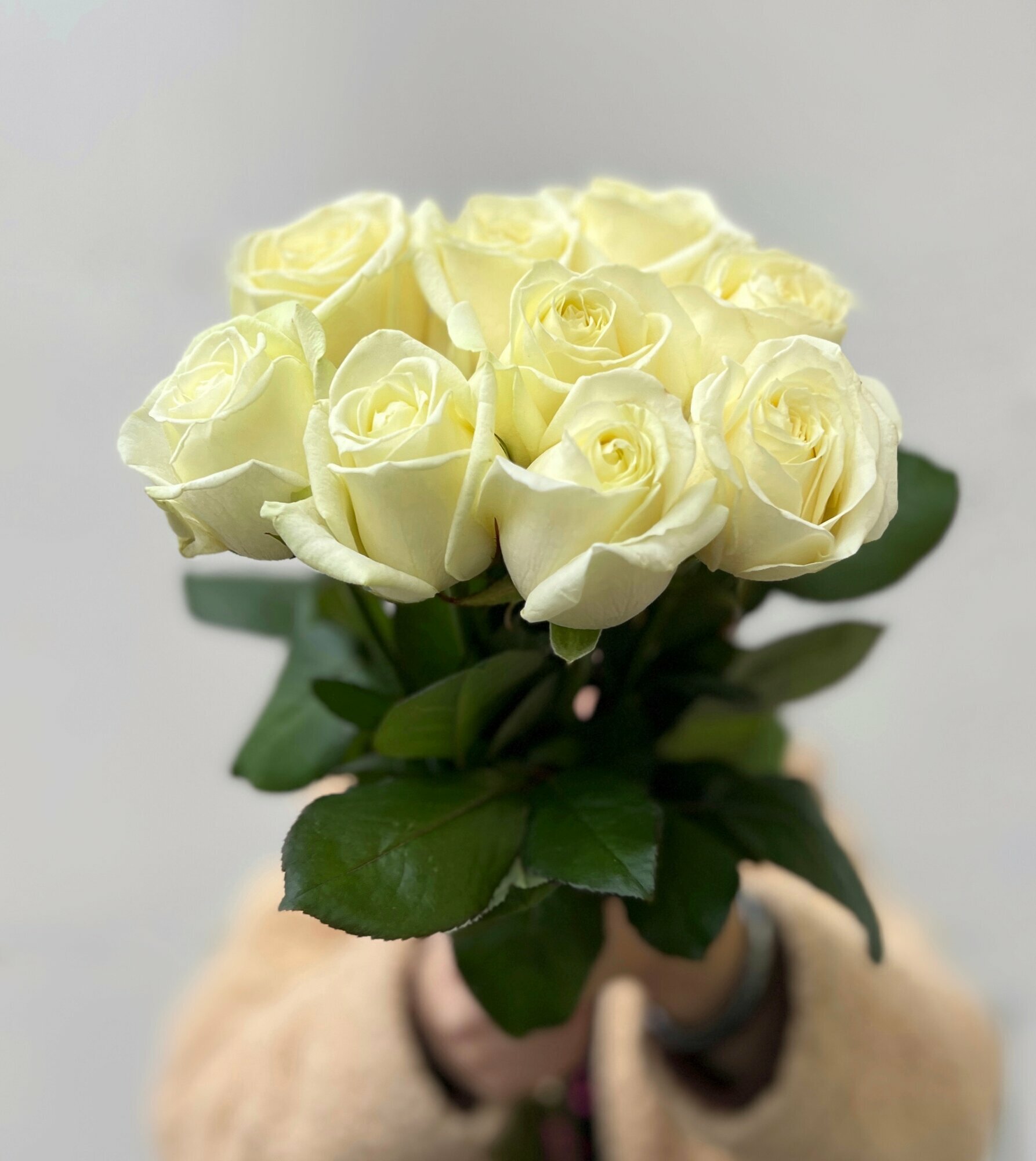 Букет из 9 белых роз высота 60 см, букет живых цветов, Россия