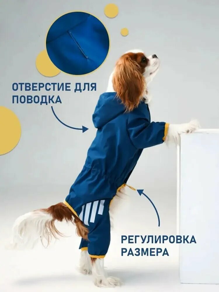 Одежда для собак дождевик YZ — фото 1