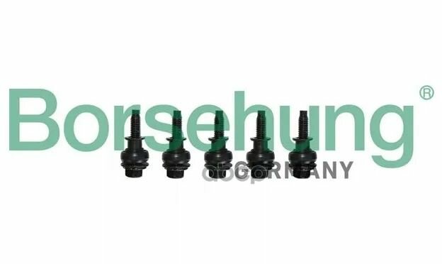 Borsehung B10628 Комплект болтов кожуха ГРМ 5шт (06J103831)