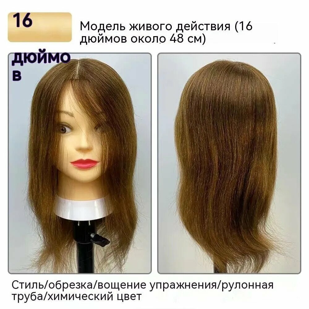 Голова манекен для причесок учебная парикмахерская 100% человеческий волос, 38-45см