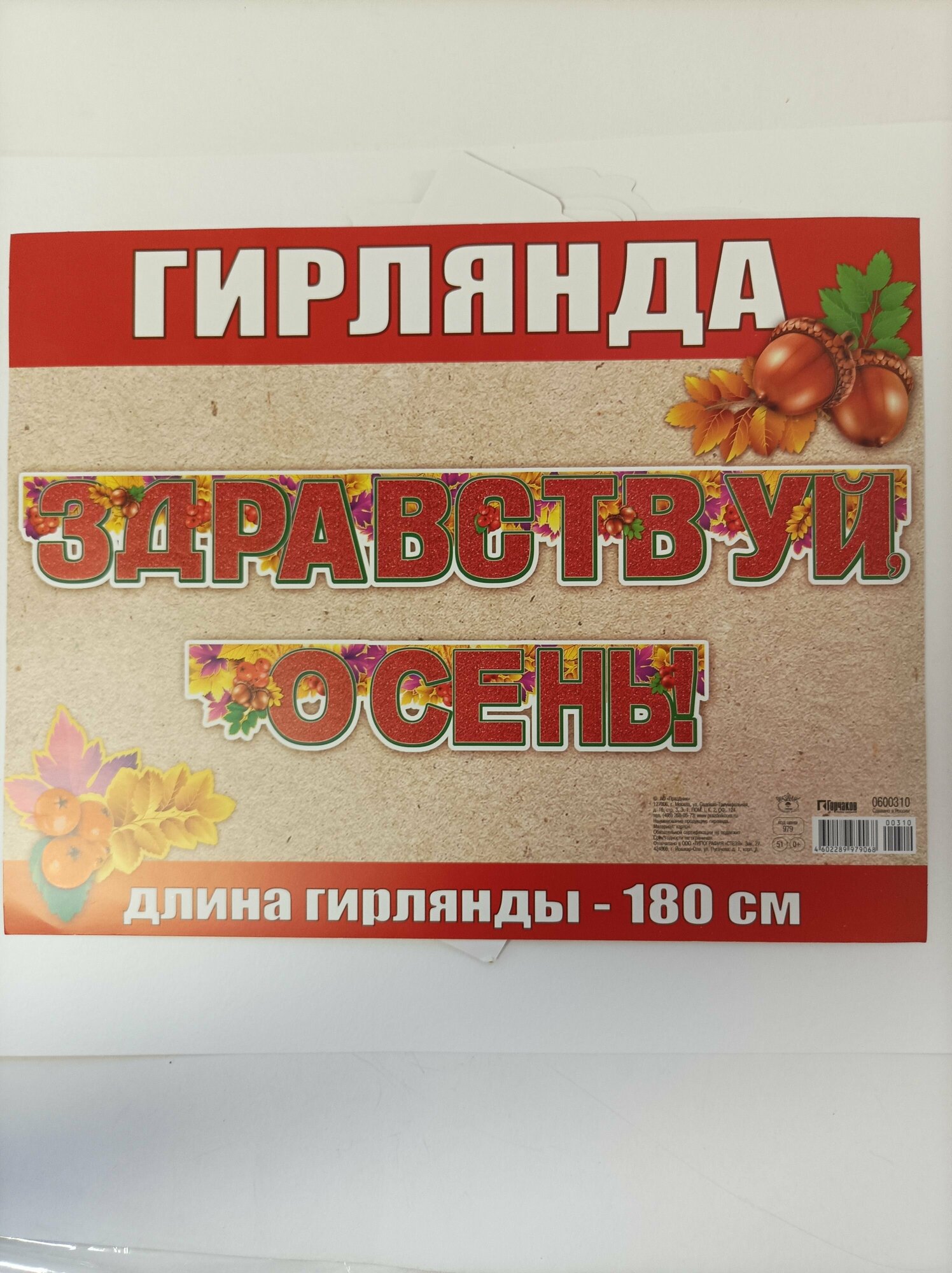 Растяжка-гирлянда "Здравствуй осень! " 180см