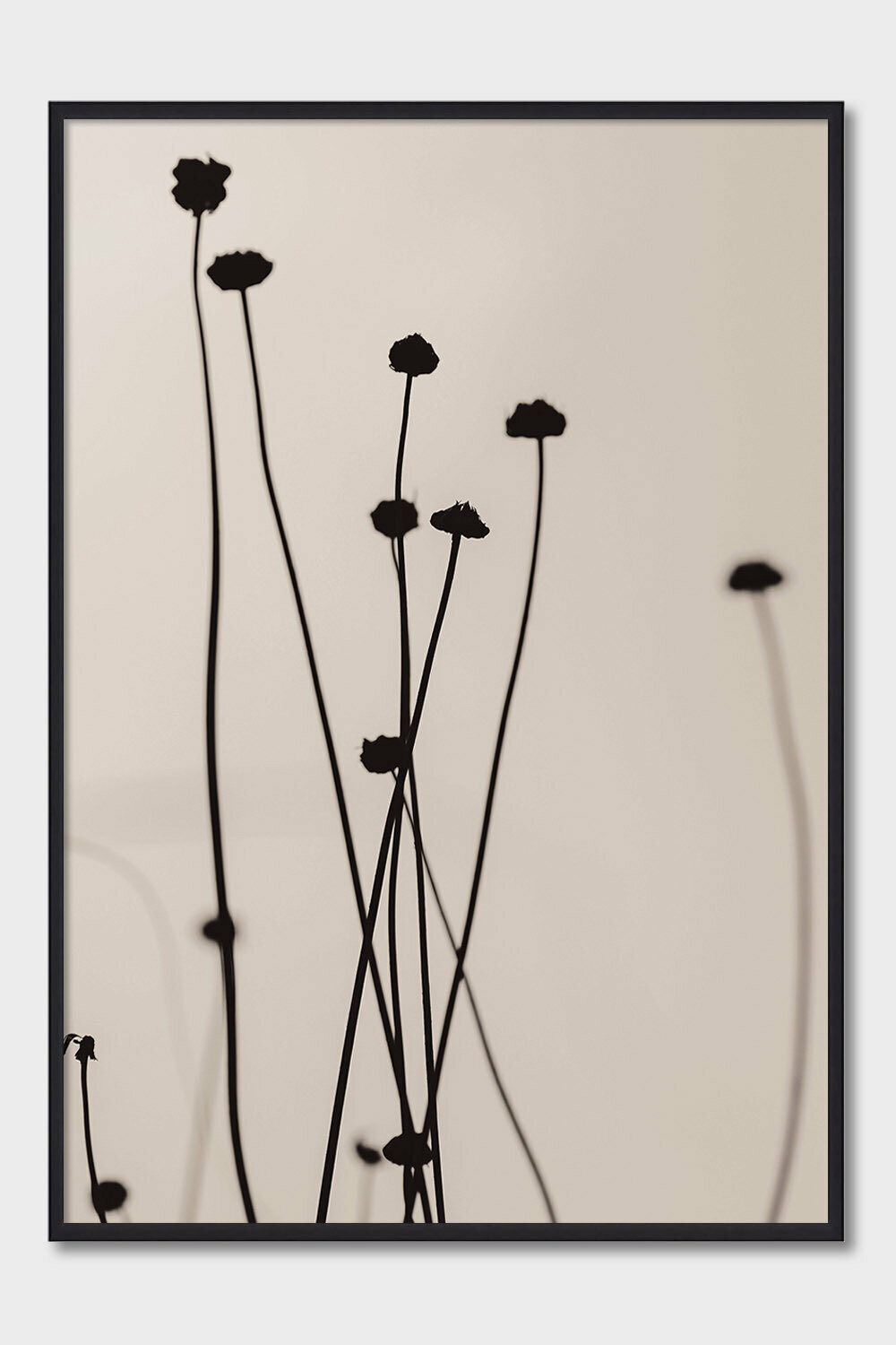 Постер для интерьера Postermarkt Сухоцветы на бежевом фоне, 30х40 см в черной рамке