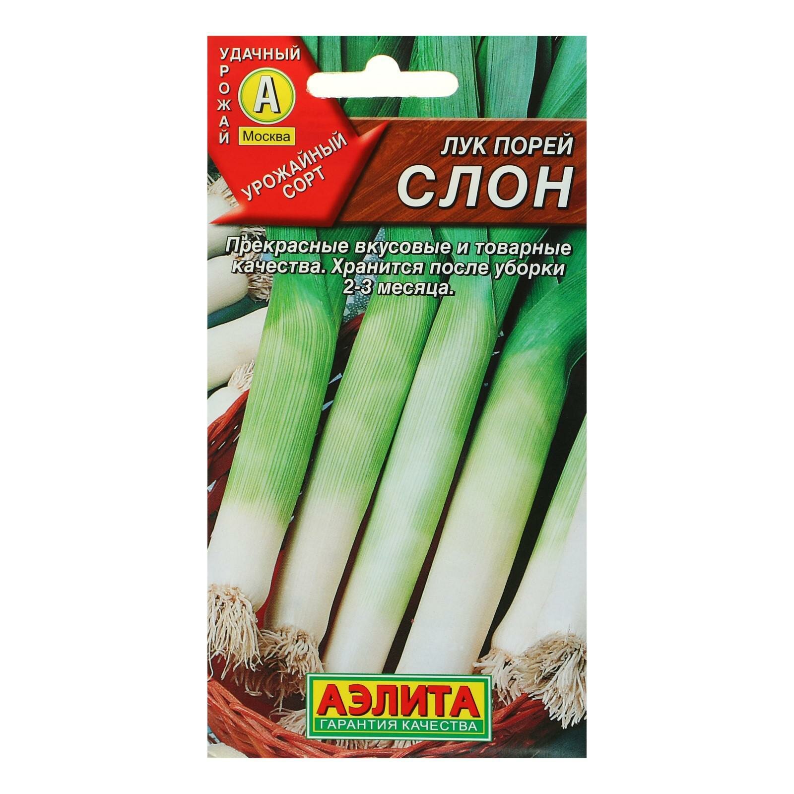 Семена Лук порей «Слон», 0.5 г