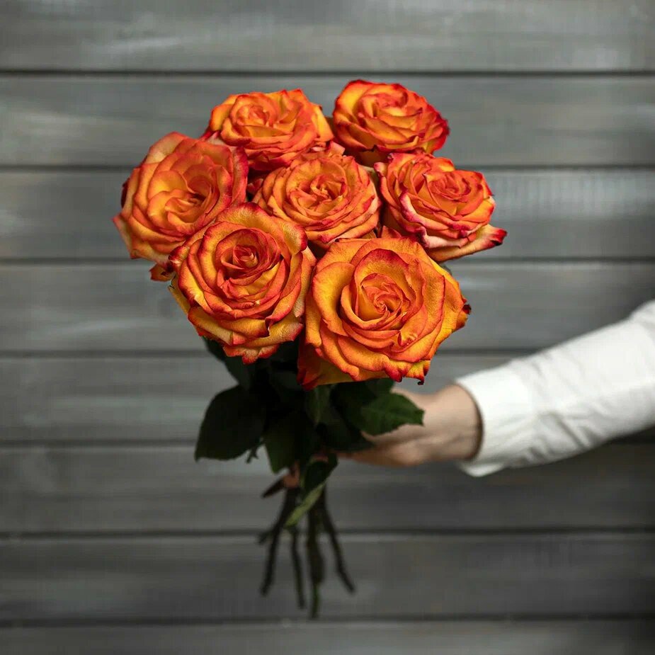 7 оранжевых роз Эквадор, высота 50 см, монобукет от Букет Маркет