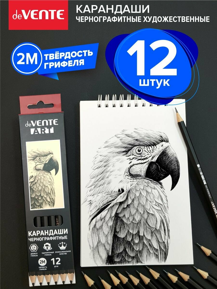 Карандаши простые твердостью 2М художественные профессиональные чернографитные 12 шт.
