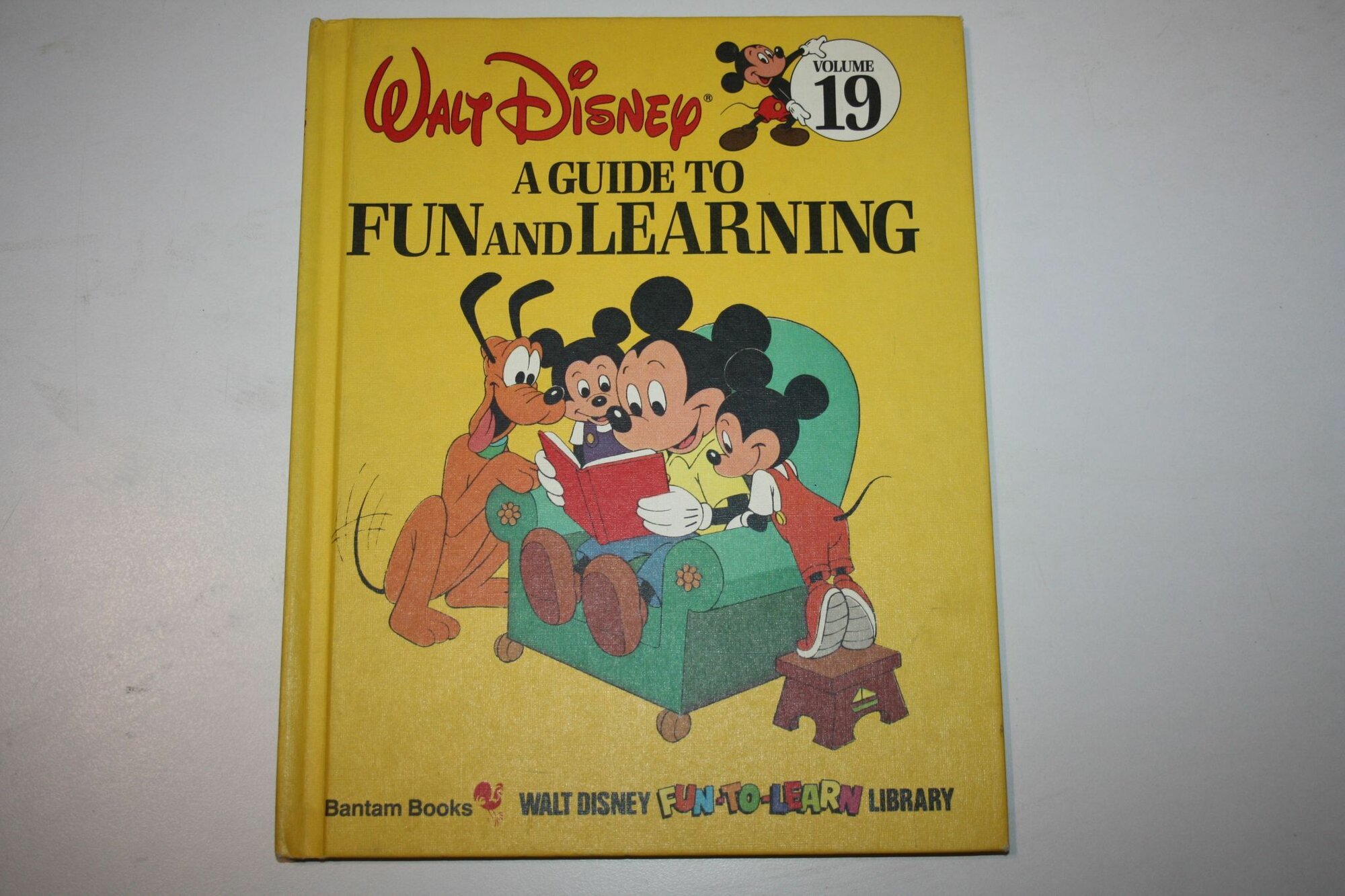 A Guide to Fun and Learning (Руководство по развлечениям и обучению). Том 19