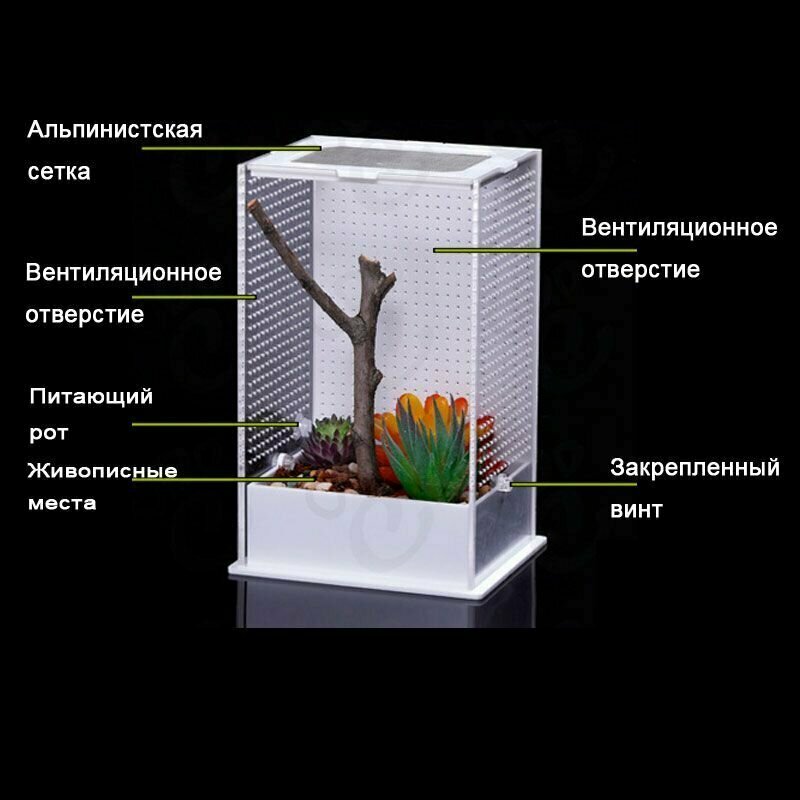Акриловая коробка для насекомых, коробка для разведения богомолов
