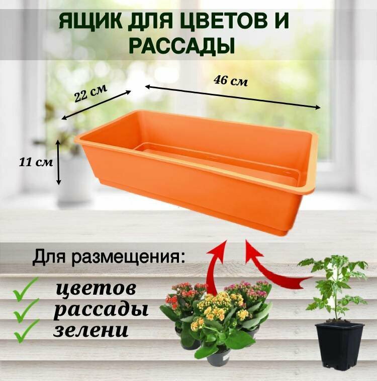 ЯщикМ для выращивания цветов и рассады, размер 460*220*110 мм. Цвет терракотовый.