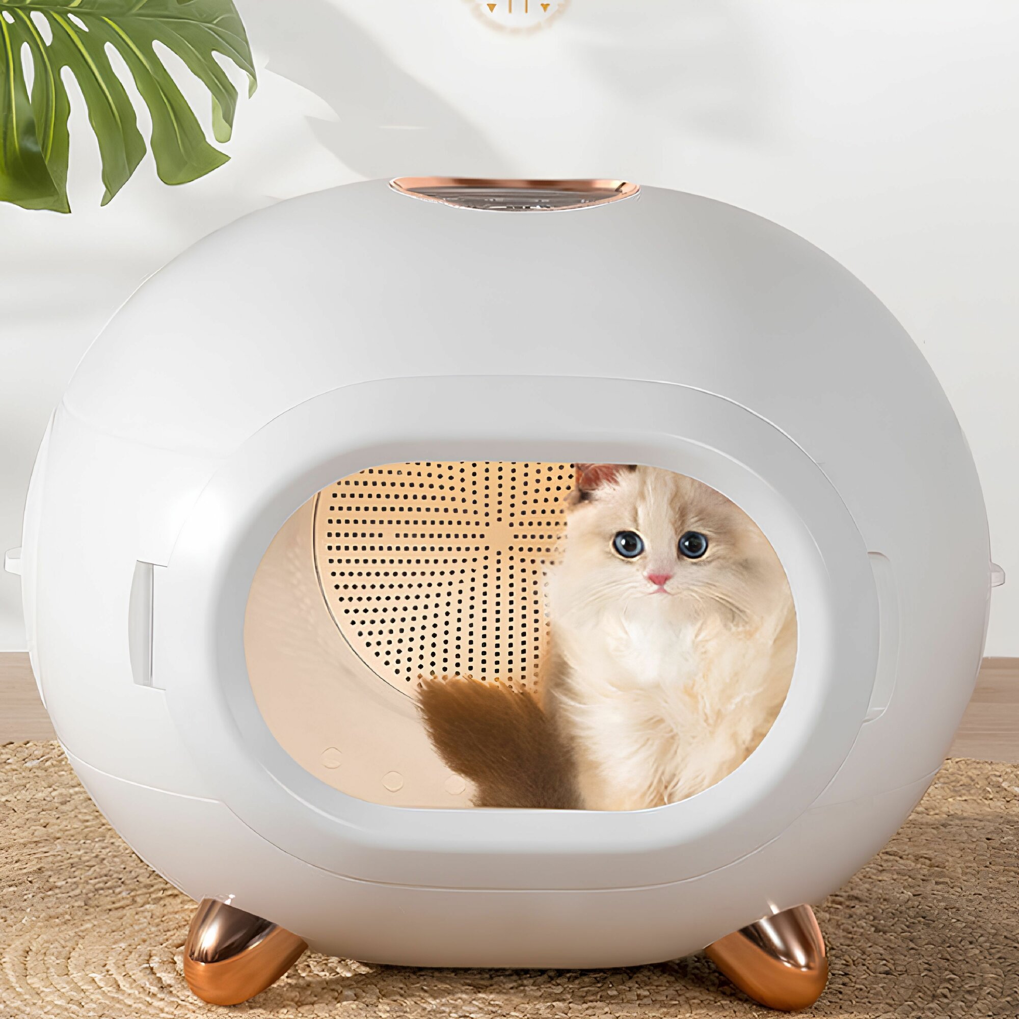 Cушилка для животных, UNIPAW, сверхтихая автоматическая сушилка для кошек и собак, принадлежности для ухода за домашними животными.