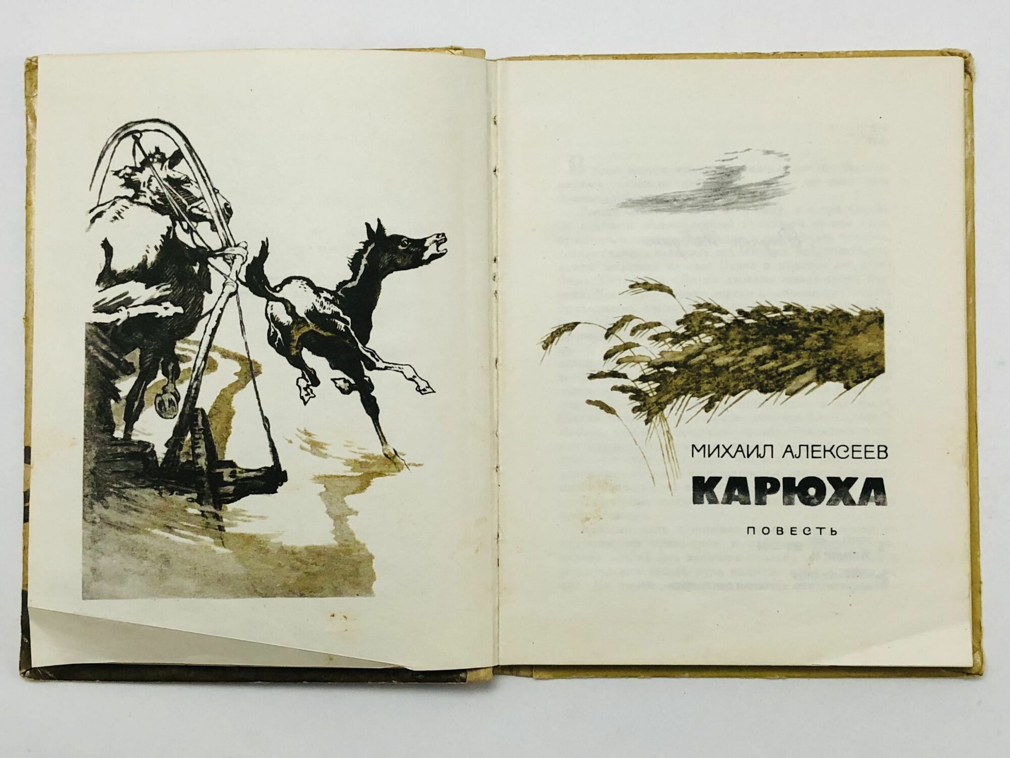Карюха. Повесть — фото 1