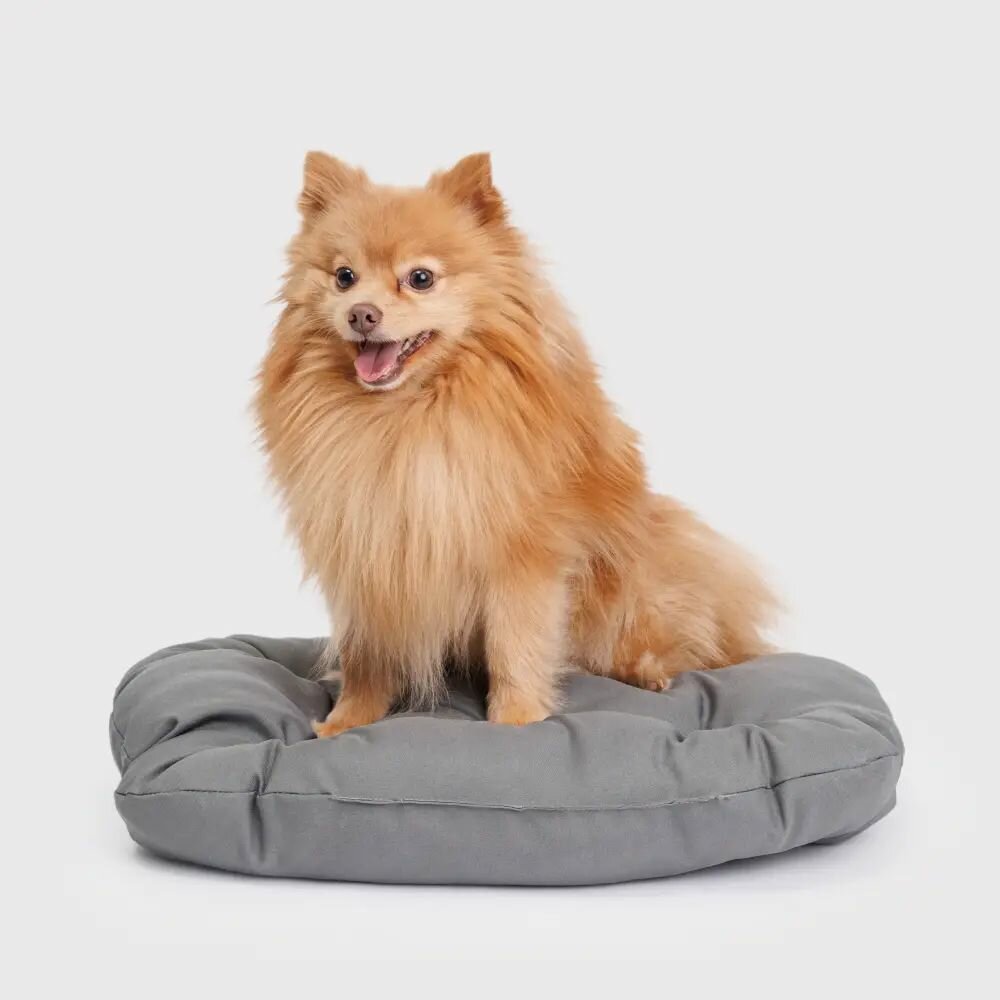 RURRI Лежанка для кошек и собак "Пилигрим", 50х60х6 см, для маленьких и средних пород