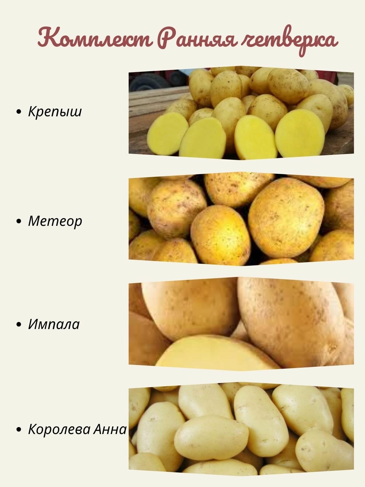 Комплект картофеля из 4 сортов "Ранняя четверка" 2 кг