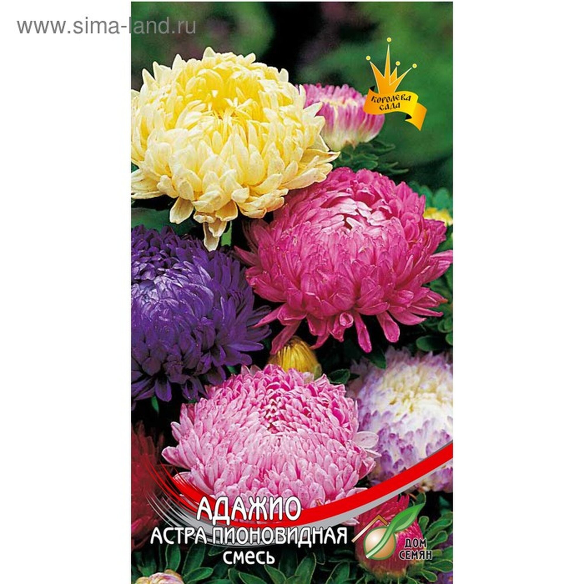 Семена цветов Астра пионовидная "Адажио" Дом семян, смесь, О, 90 шт 4175935