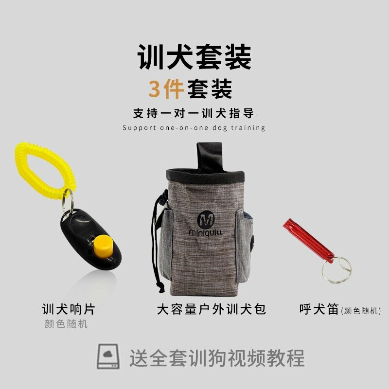 Средства и оборудование для дрессировки собак, дрессировка золотистых ретриверов, снаряжение для дрессировки собак,