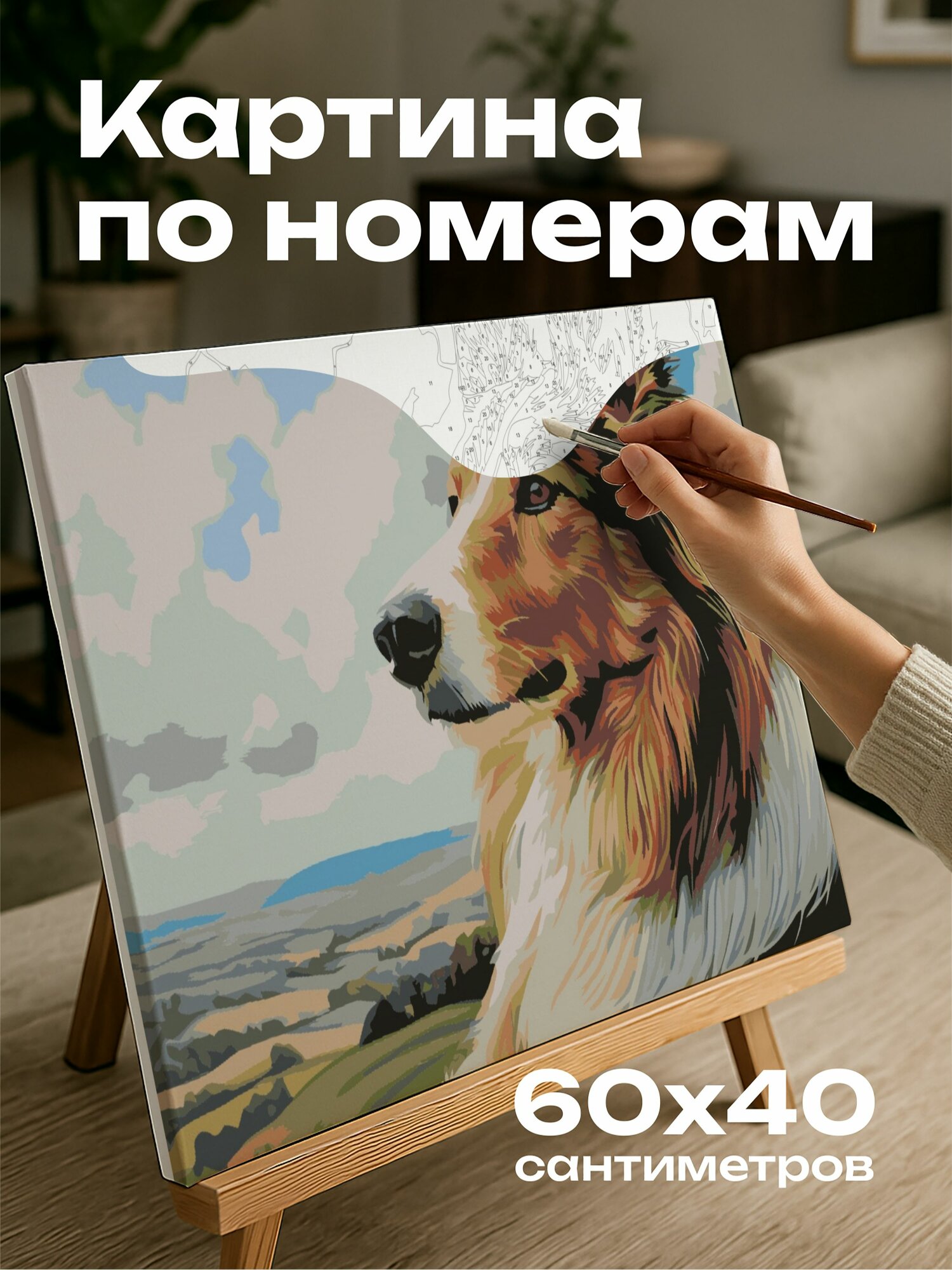 Картина по номерам 60x40 см, Колли, масляная картина, гиперреализм, шерсть, глаза, зеленые холмы, ярко-голубое небо