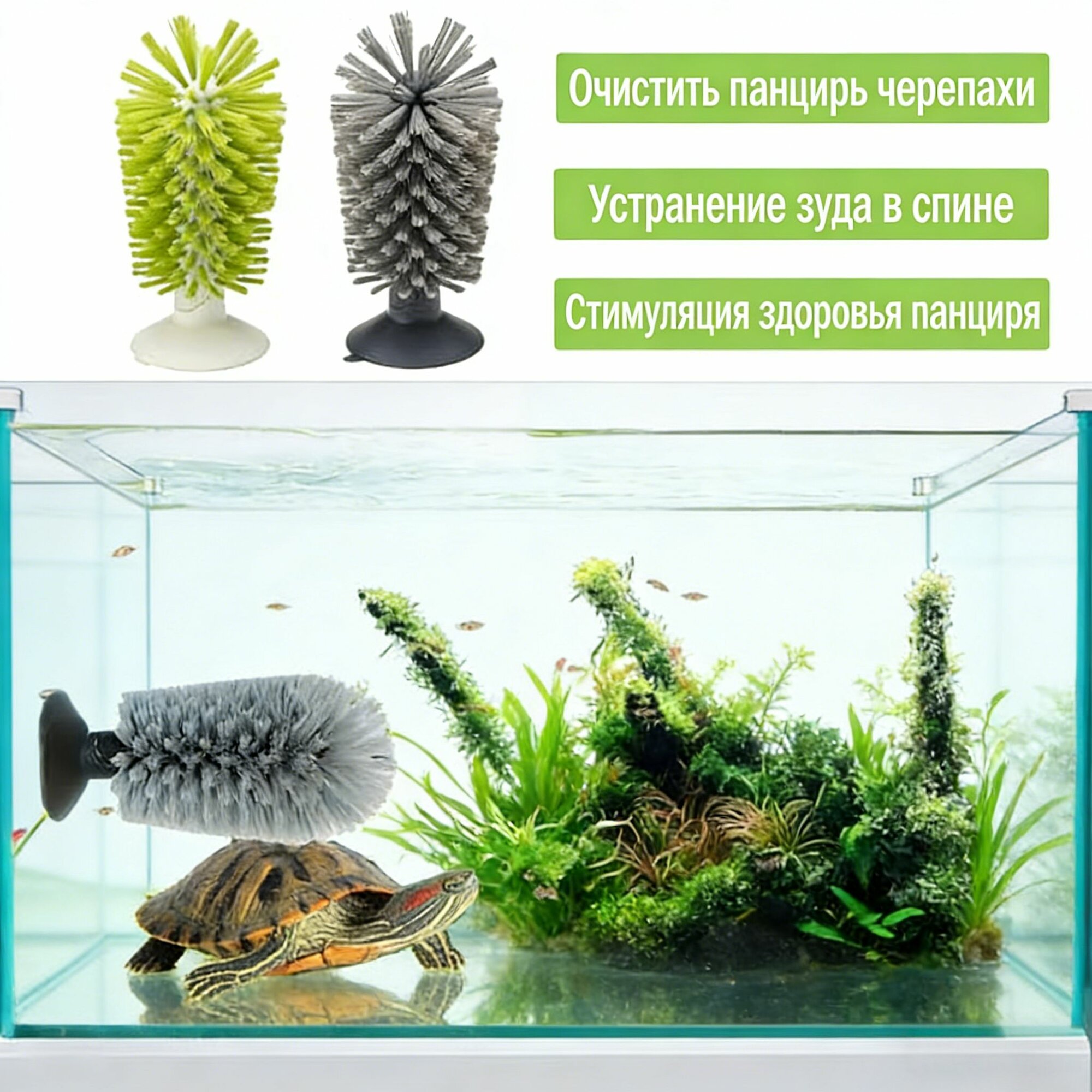 Щетка для чистки спины черепахи /отшелушивающая панцирь черепахи с присоской (зеленая) с присоской зеленая отшелушивающая для черепахи