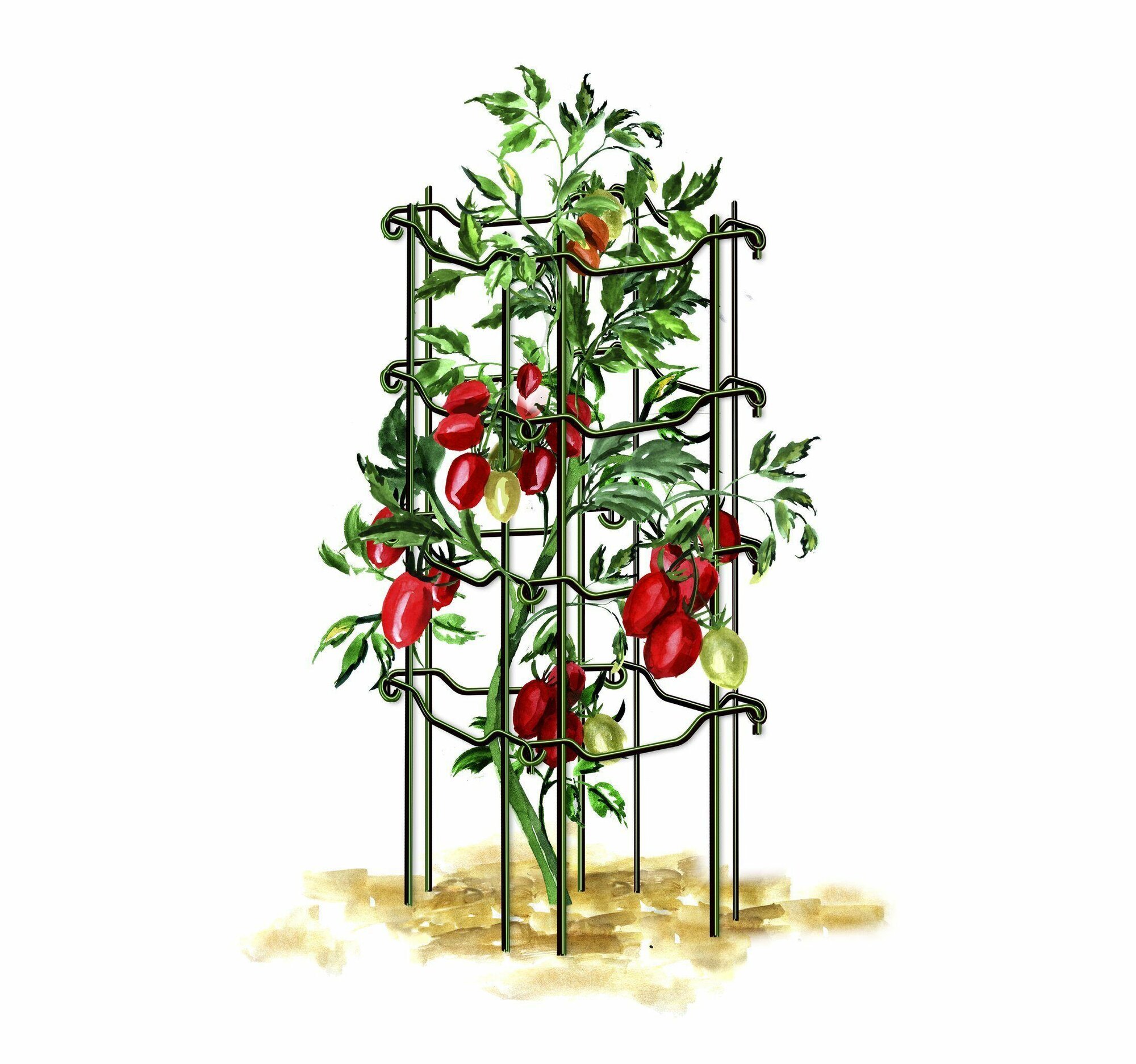 Поддержка под томаты 80 см зеленая