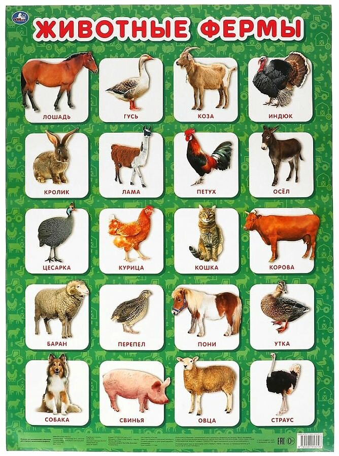 Животные фермы. Плакат А2. Умка 315688