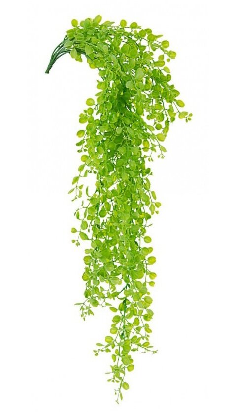 Растение декоративное BIZZOTTO FALLING BRANCH LIGHT GREEN 225 0171060 850h
