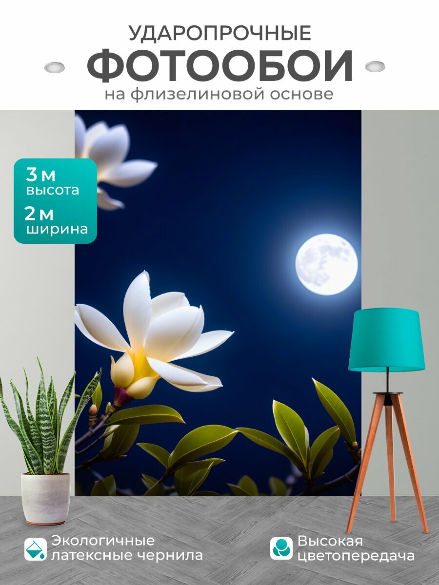 Фотообои моющиеся ударопрочные "Магнолии в ночном свете под луной" 200x300 см. флизелиновые на стену