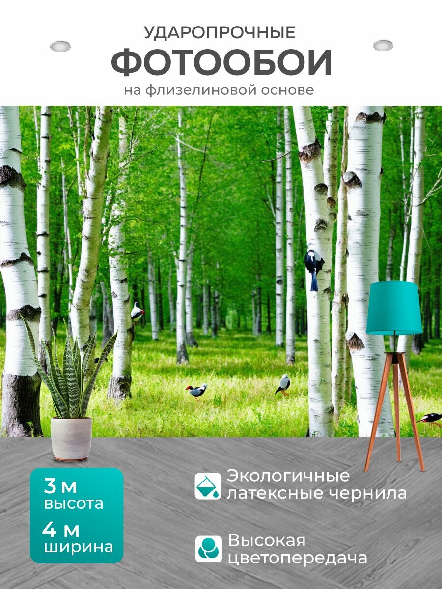 Фотообои моющиеся ударопрочные "Россия леса — сочные березовые рощи с белыми стволами и зелеными кронами, где можно увидеть семь различных видов птиц" 400x300 см. флизелиновые на стену