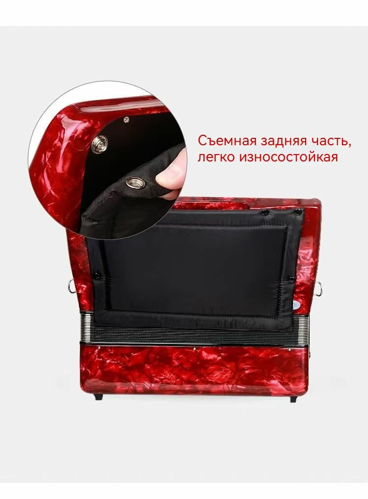 Аккордеон — фото 1