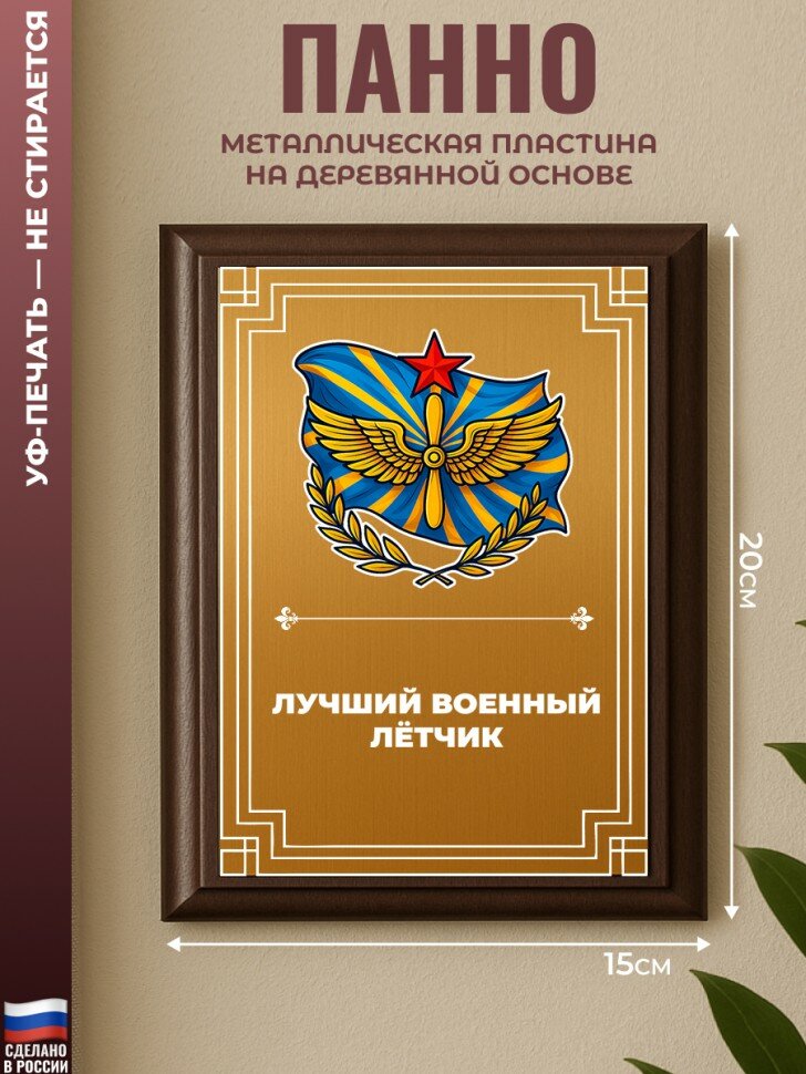 Настенный диплом "Лучший военный лётчик" ВВС