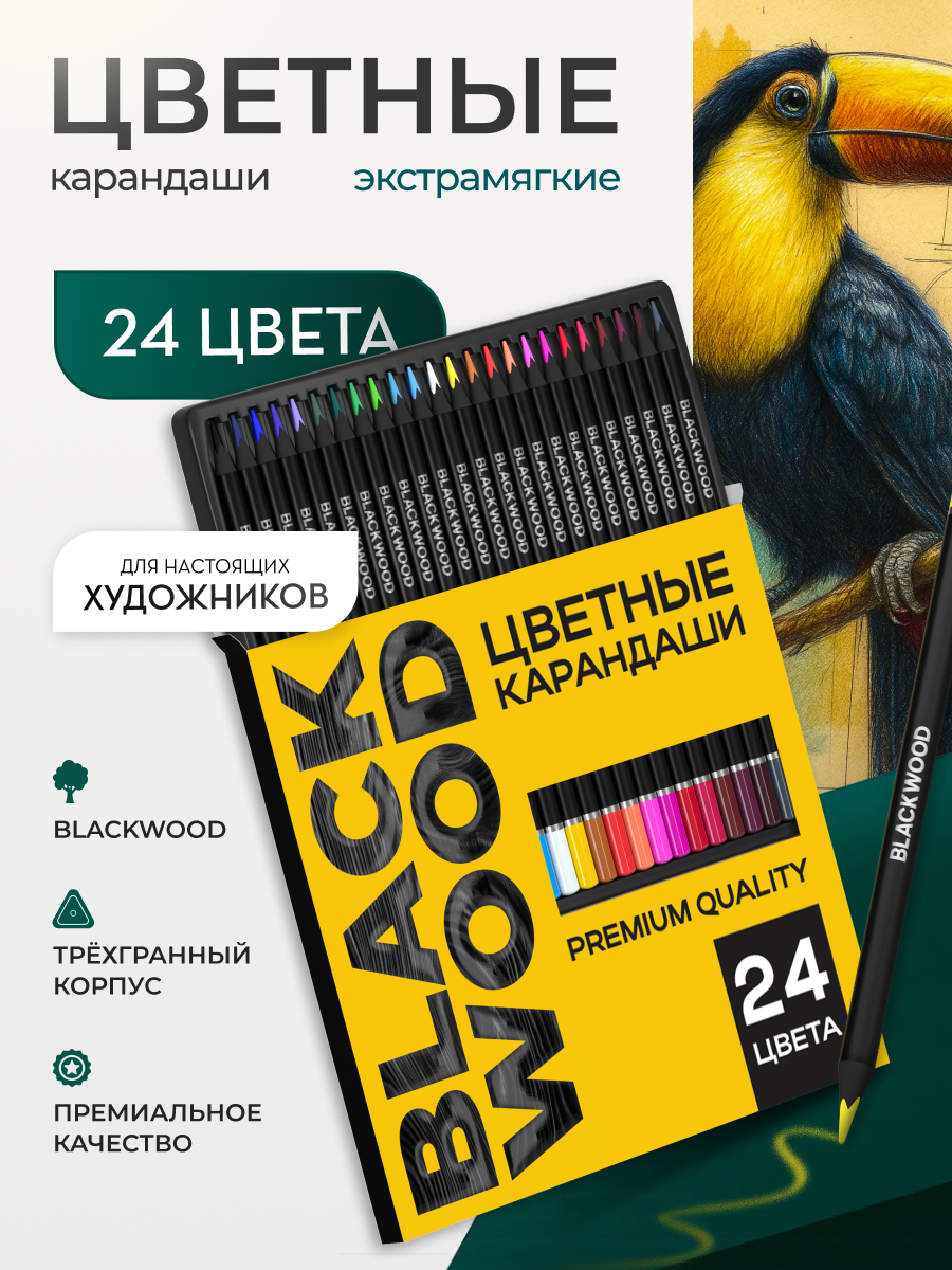 Набор карандашей BLACKWOOD DENKSY, трехгранные, 24 цв, картонная упаковка